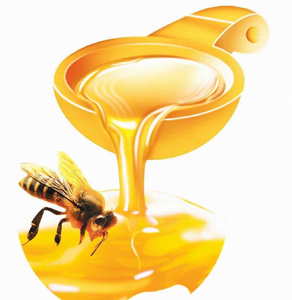 The Marvel Potion-Honey - One World News