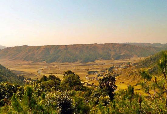 The Mawphlang Sacred Grove