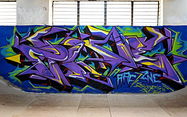 Graffiti Art Group- Aerosol Assassins