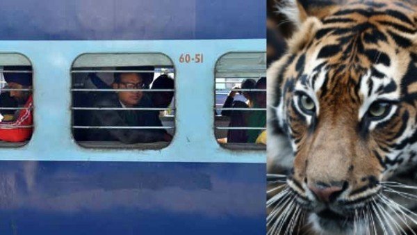 ‘Tiger Express’ inaugurated by Suresh Prabhu