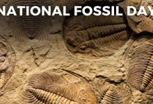 International Asteroid Day: Understanding the Importance of Space Rock ...