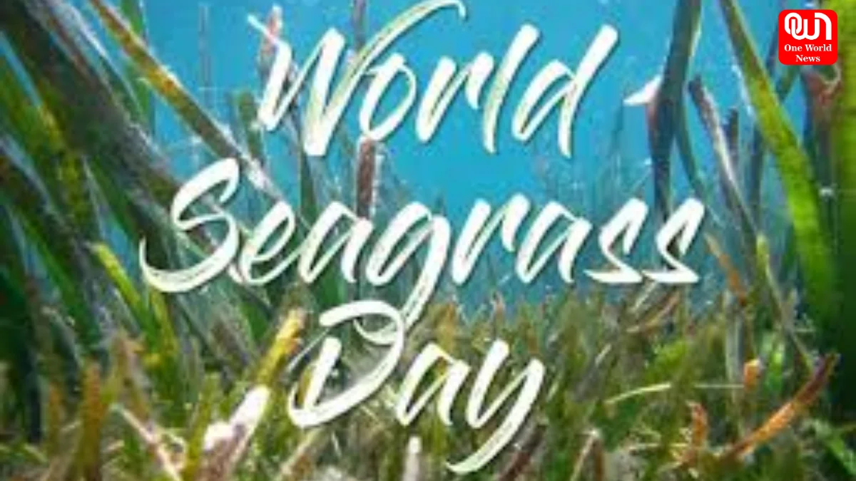 World Seagrass Day 2026: Protecting the Ocean’s Silent Guardians